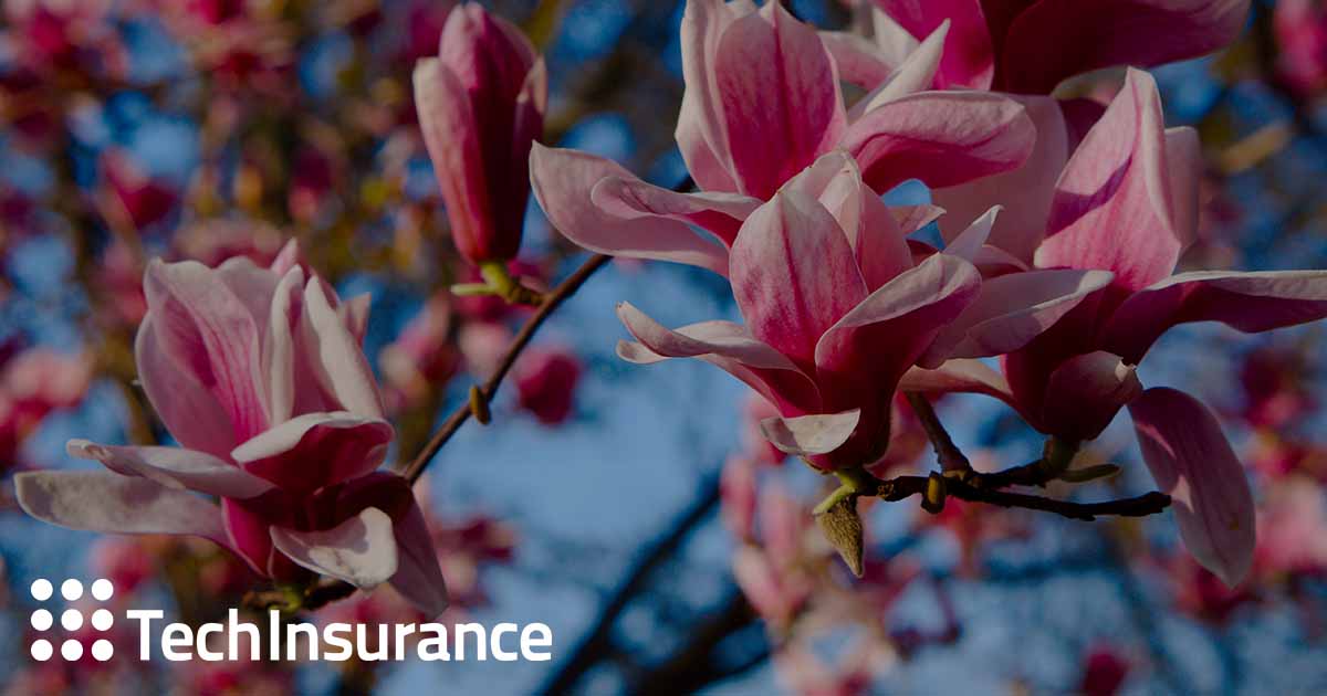 Delaware Business Insurance, General Liability Insurance | TechInsurance