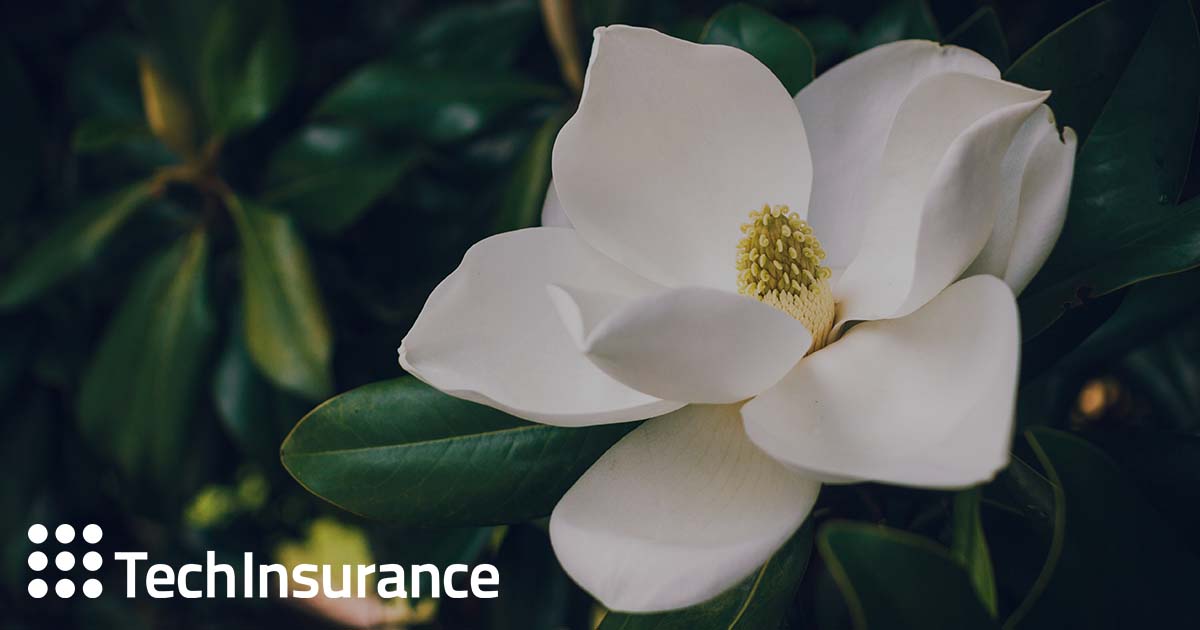 Louisiana Business Insurance, General Liability Insurance | TechInsurance