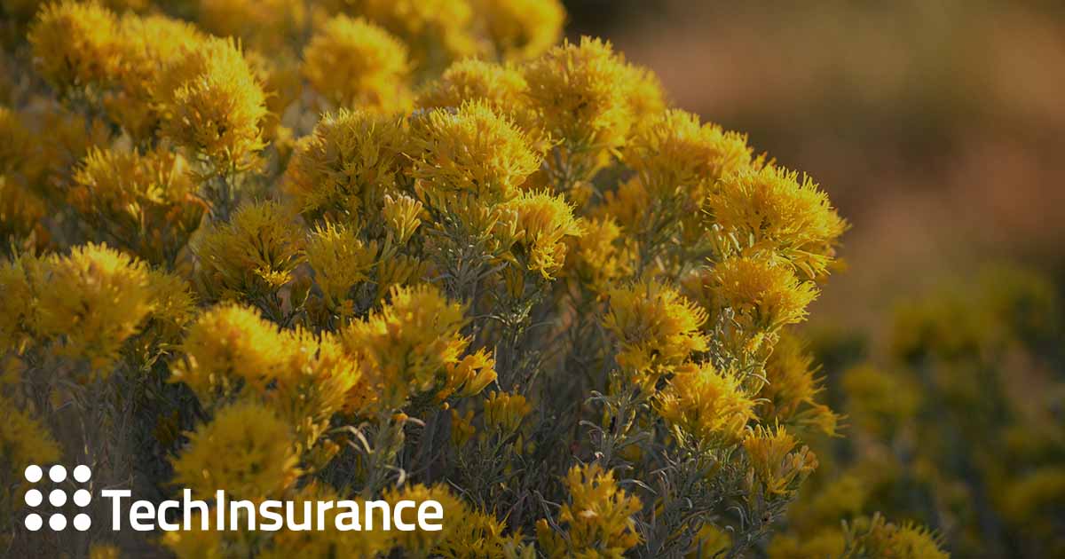 Nevada Business Insurance, General Liability Insurance | TechInsurance