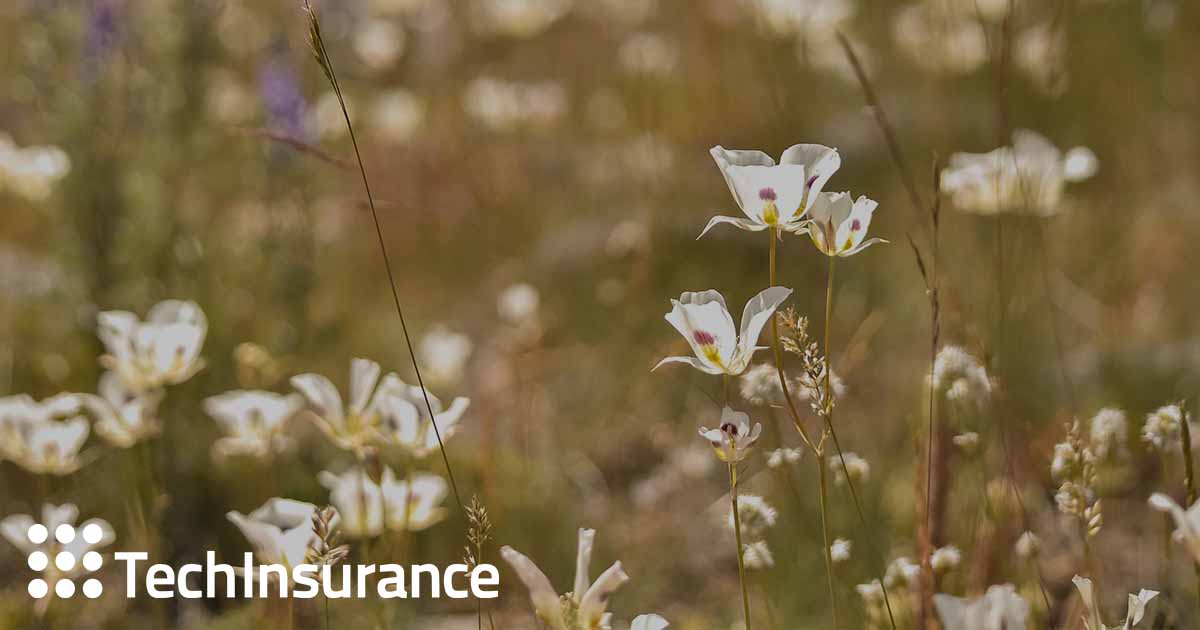 Utah Business Insurance, General Liability Insurance | TechInsurance